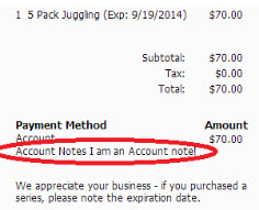Where do Account Notes show up in the system?