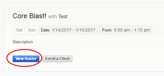 Why is the View Roster button for my course or enrollment blue?