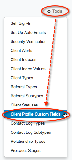 Client profile custom fields