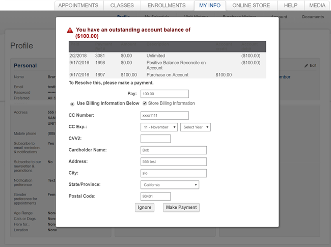 How to create a link for a client to pay their balance
