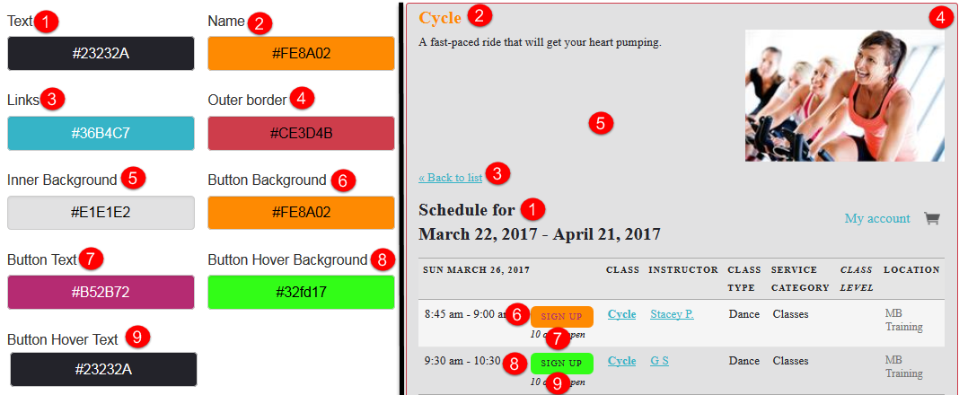 Customizing widget colors to match your website - branded web tools