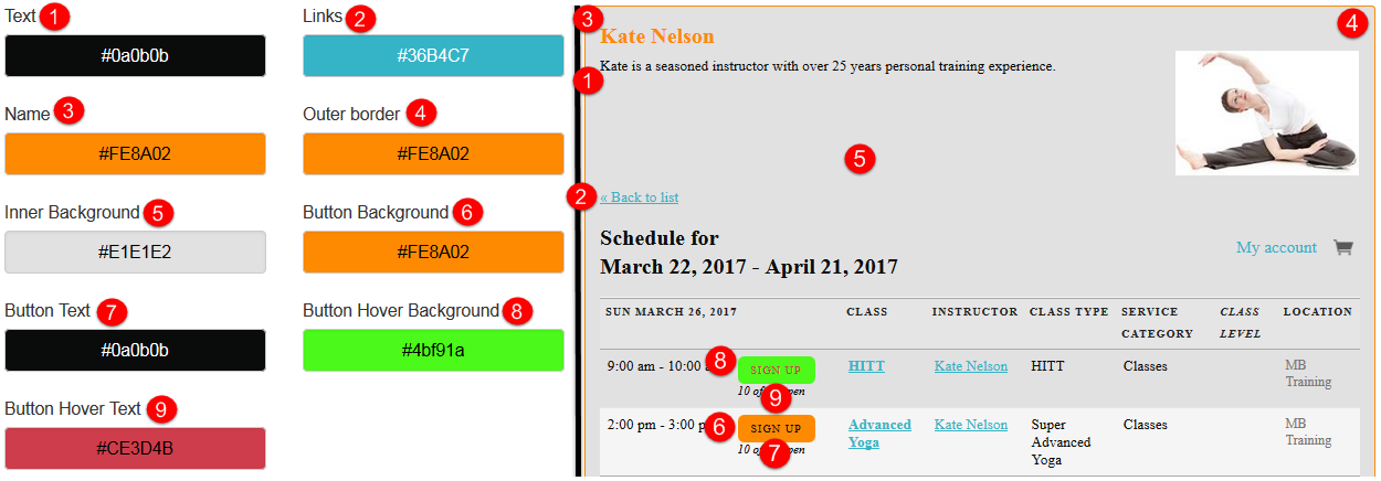 Customizing widget colors to match your website - branded web tools