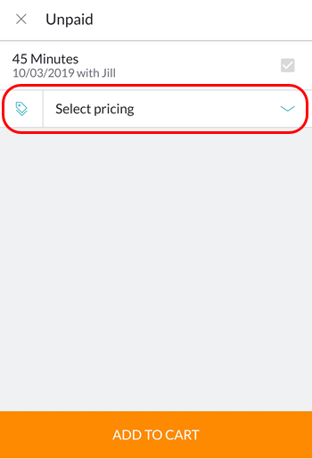 How to add a tip on the Appointment Check Out screen (Mindbody Business ...