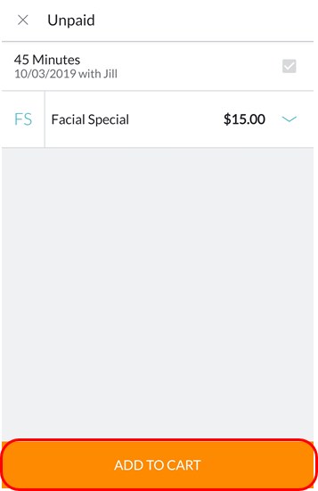 How to add a tip on the Appointment Check Out screen (Mindbody Business ...