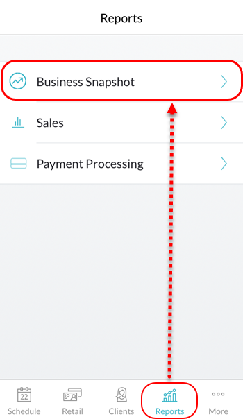 Business Snapshot (Business app, iOS)